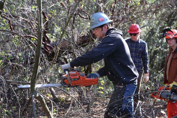 Students work to reduce fire fuels in forestry class at Columbia ...