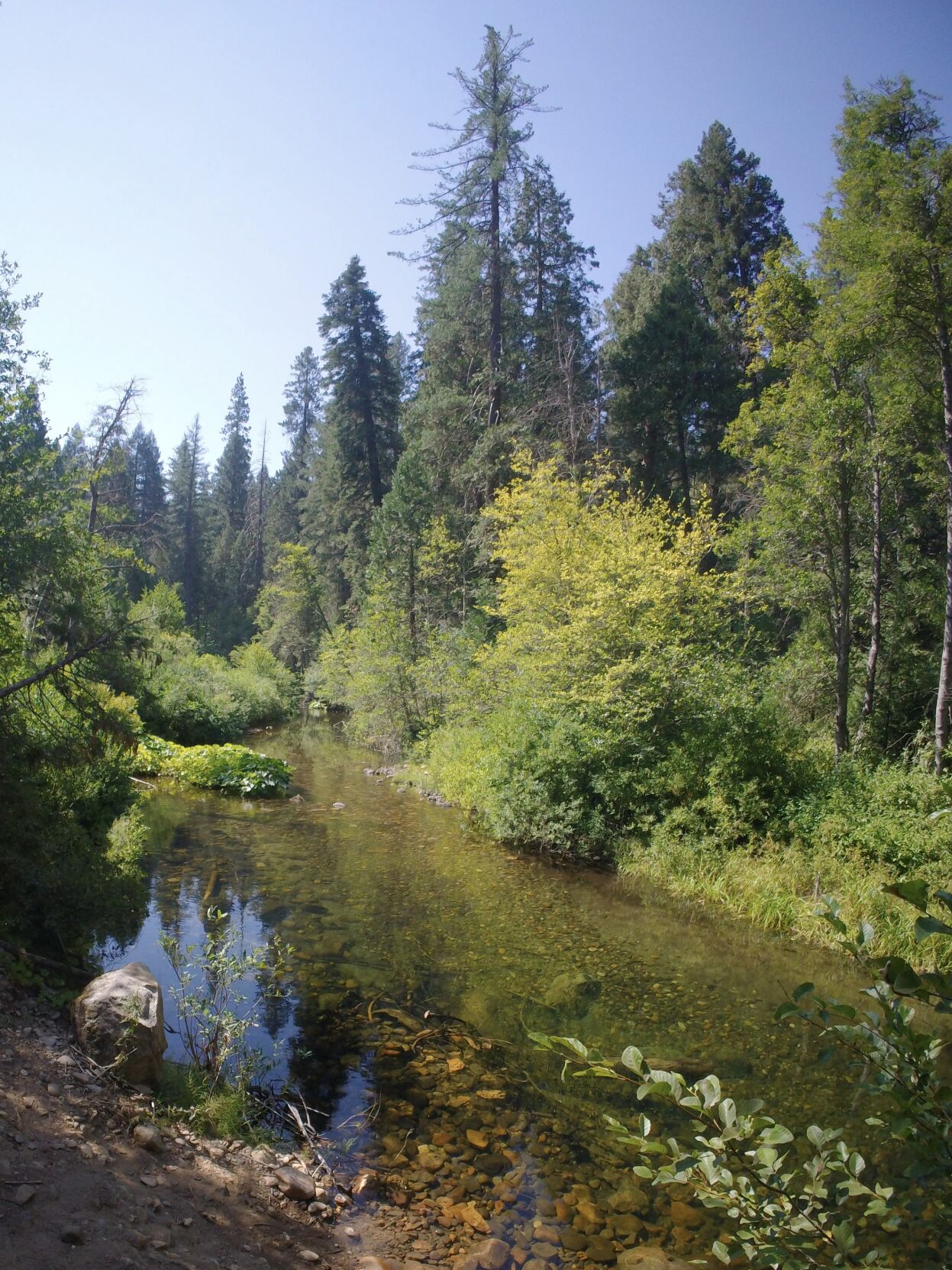 OUT THERE: Carlon Falls Trail offers a scenic, family-friendly hike ...