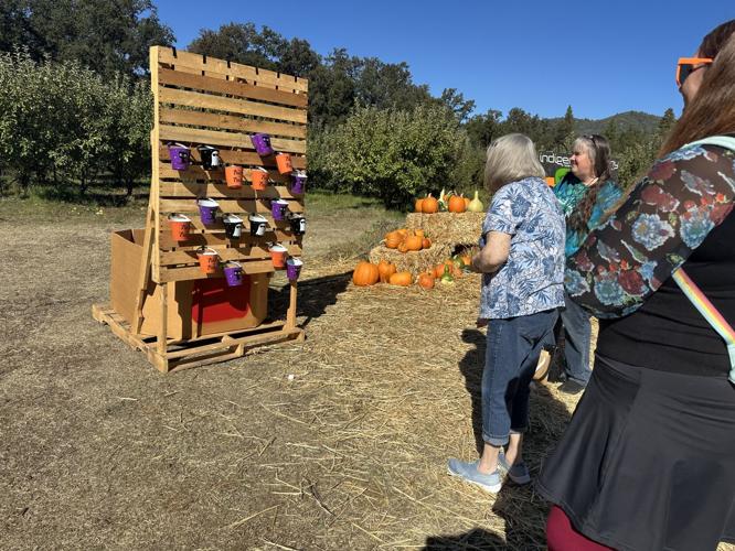 Fall Festival features pumpkin and zucchini weigh-in, hot chili pepper ...