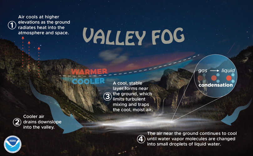 Cool weather, spells of fog expected to continue in Mother Lode into ...