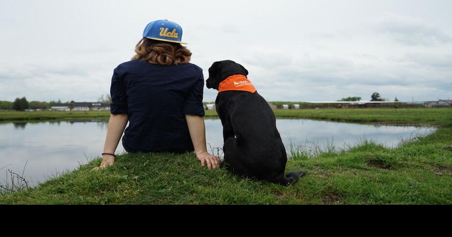 Katherine Sharp | | uniondemocrat.com