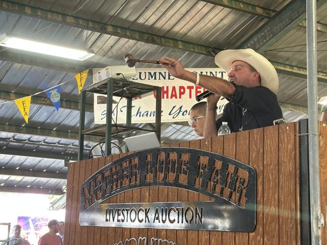 Thousands flock to Mother Lode Fair; livestock auction sees 2nd-highest ...