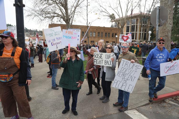 forestry workers fired