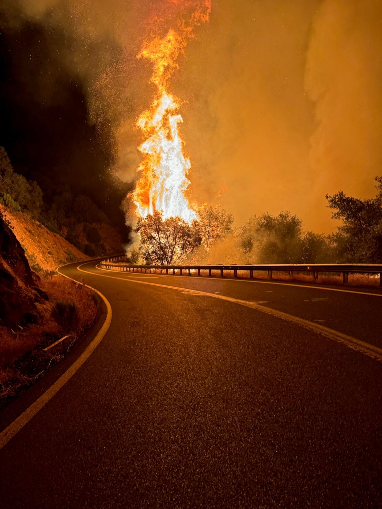 ‘Dodged a bullet’: Fuel break helped to stop the Canyon Fire from ...