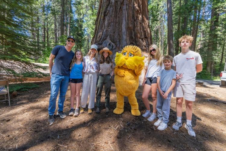 Gov. Newsom and his family visit Calaveras Big Trees State Park | News ...