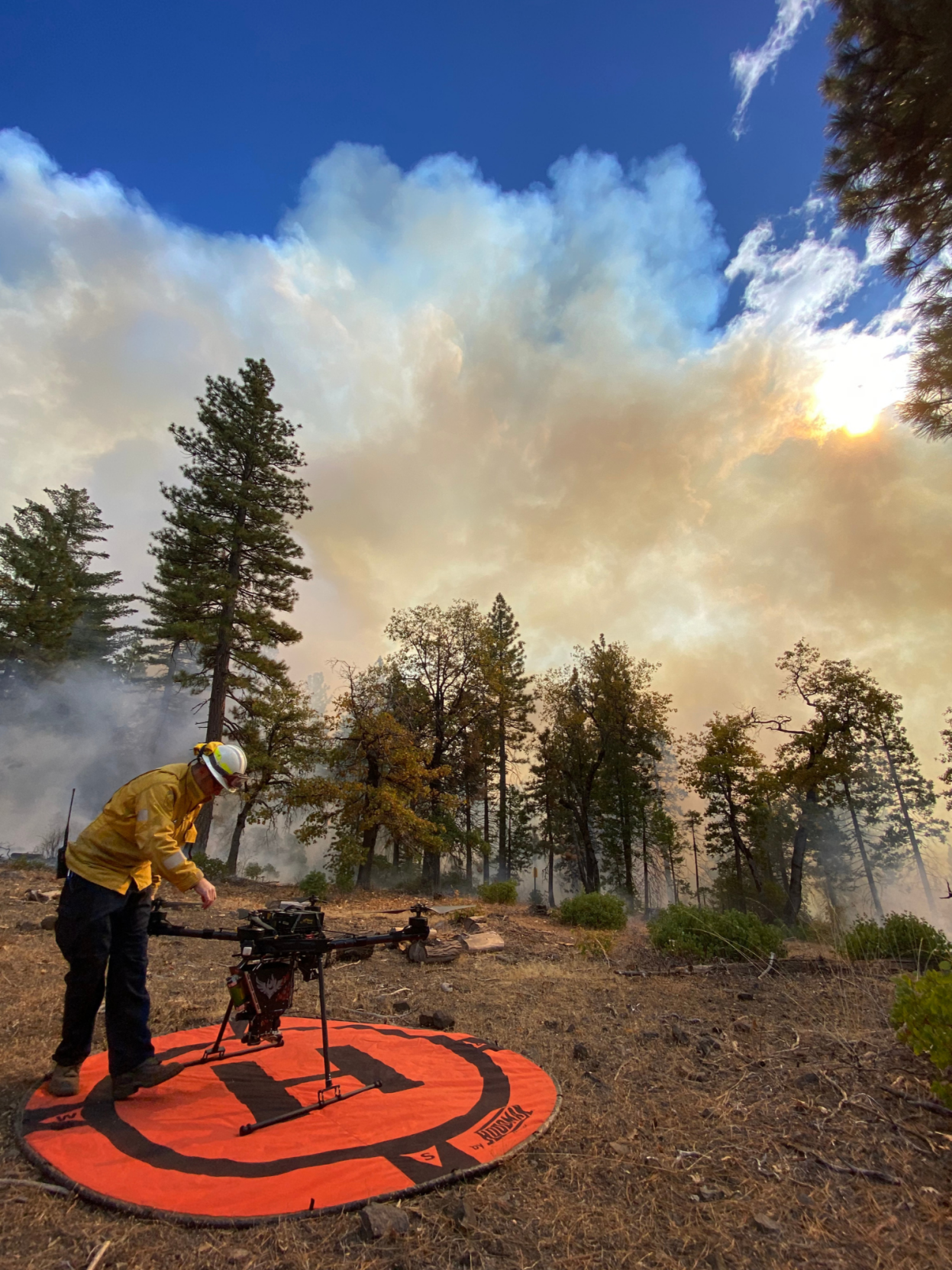 Prescribed burning continues in Big Trees' South Grove of Giant ...