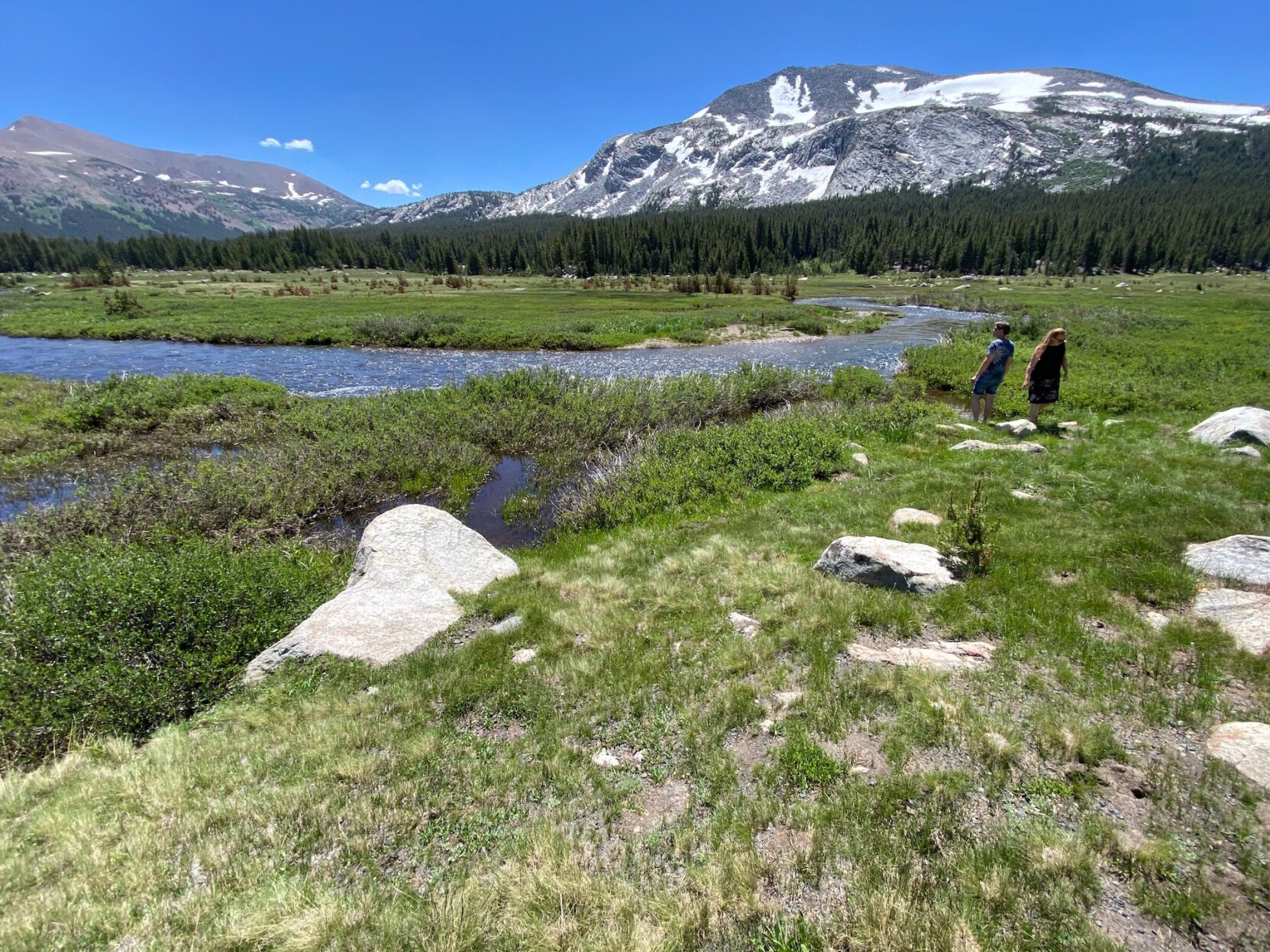OUT THERE: Alpine summer in full swing at Tioga Pass | News ...