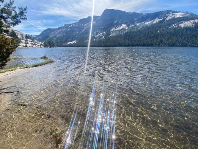 OUT THERE: Alpine summer in full swing at Tioga Pass | News ...