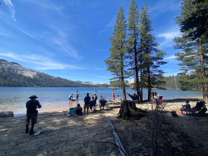 OUT THERE: Alpine summer in full swing at Tioga Pass | News ...