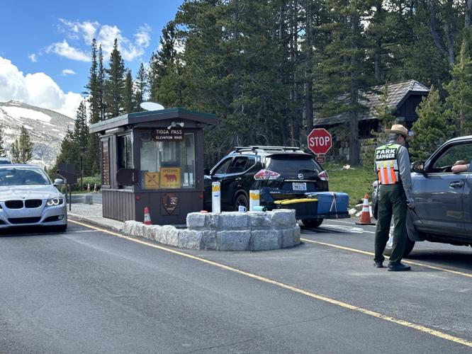 OUT THERE: Escaping the summer heat at Tioga Pass | News ...