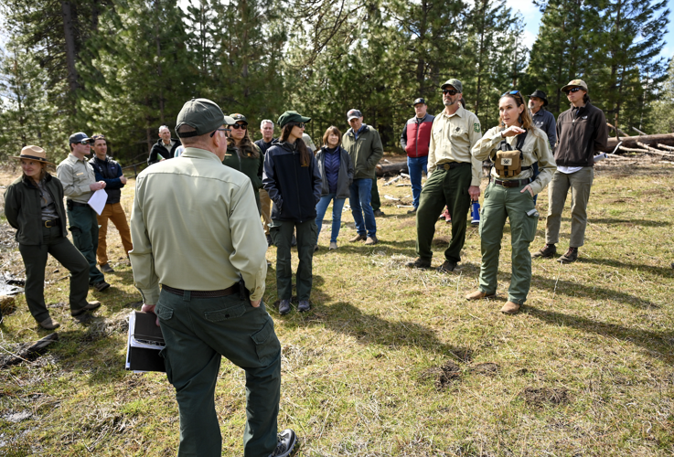 Forest Service chief visits Tuolumne County to learn about land ...