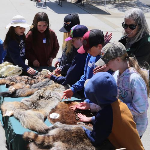 Nature Bowl event at New Melones Reservoir helps mark return of ...