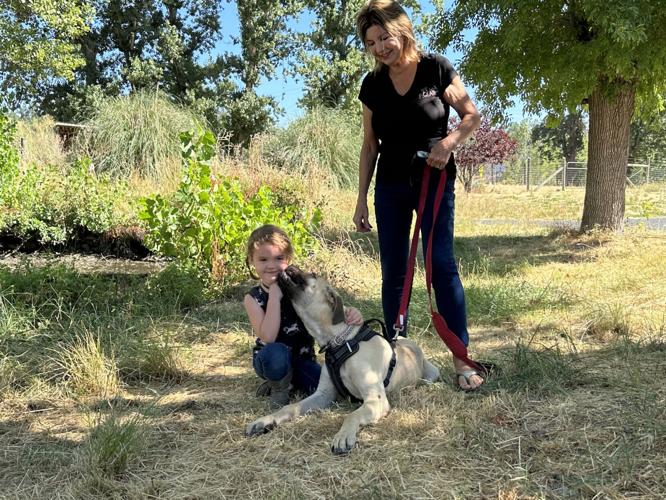 Animal rescue in Tuolumne County nurses neglected, malnourished dogs ...