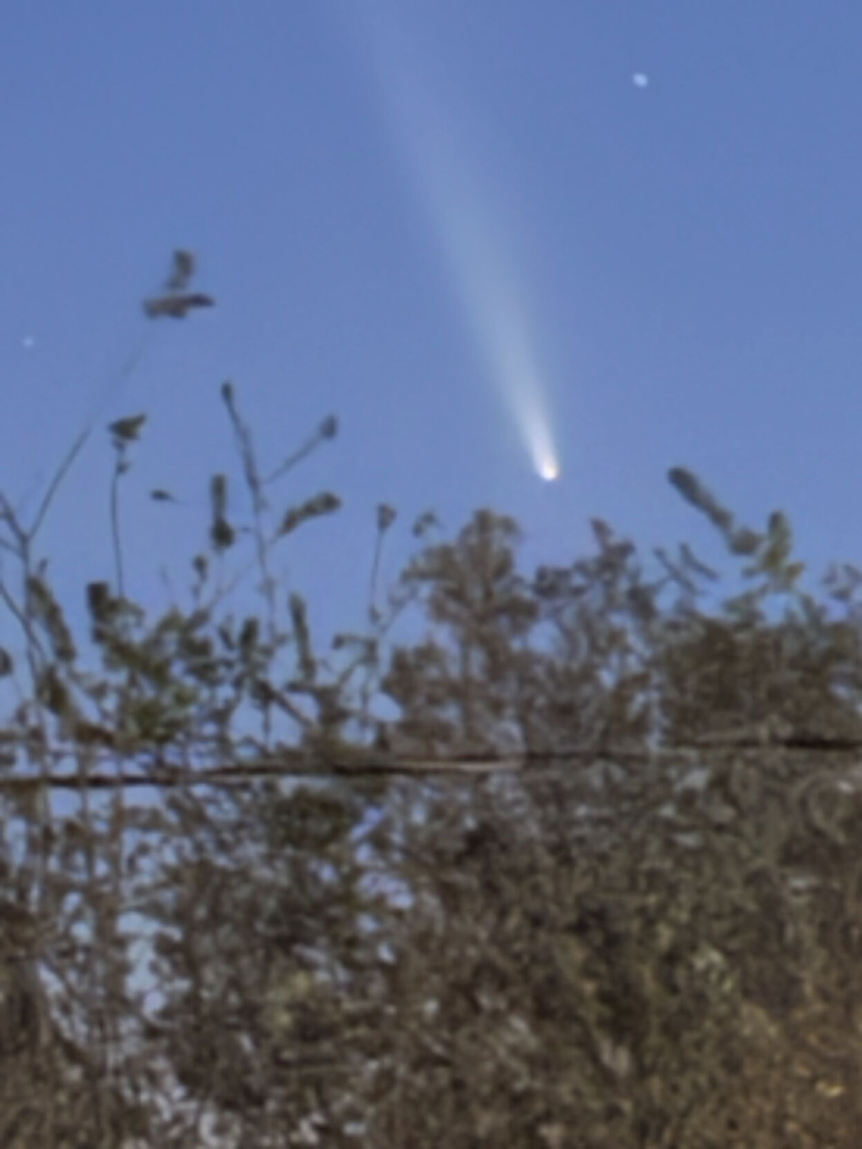 Ancient comet shows itself over Mother Lode for 1st time since ...