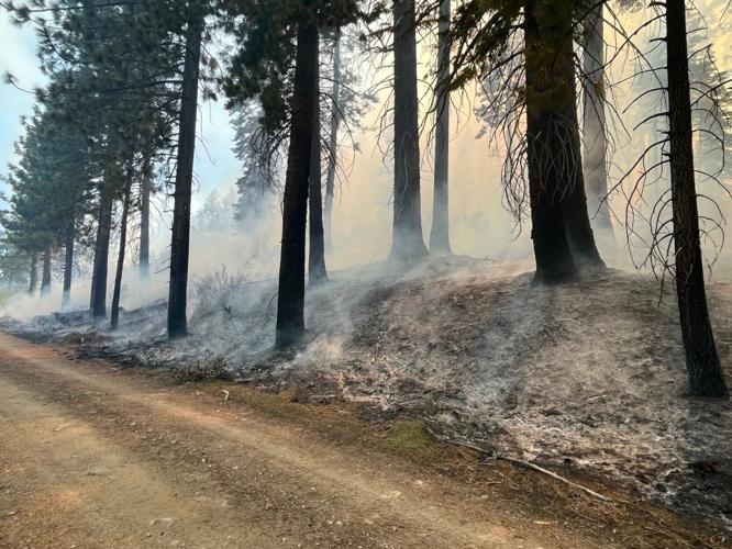 Lightning-strike wildfire near Cherry Reservoir now being managed ...
