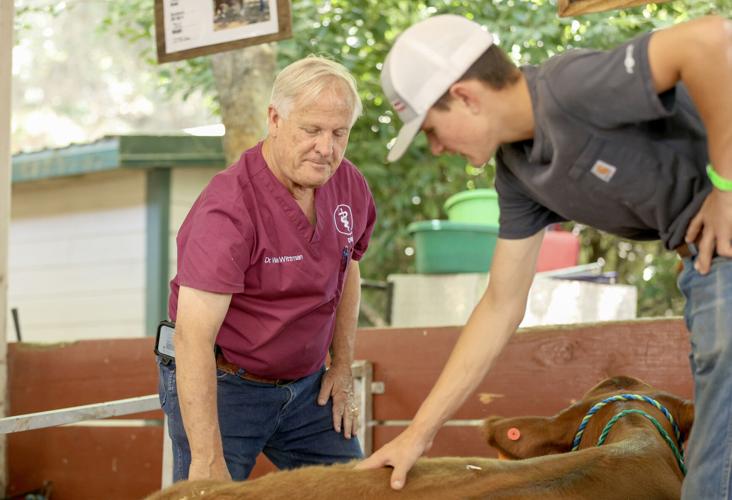 Dr. Wes Wittman donates time to Mother Lode Fair for 42nd year | News ...