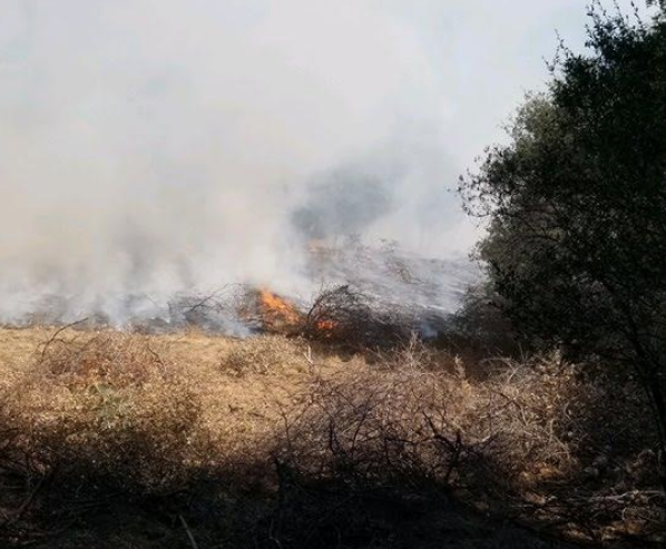 Prescribed fire clears 420 acres near Groveland in a day | News ...