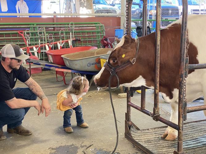 PHOTOS: The 2022 Mother Lode Fair brings four days of fun | News ...