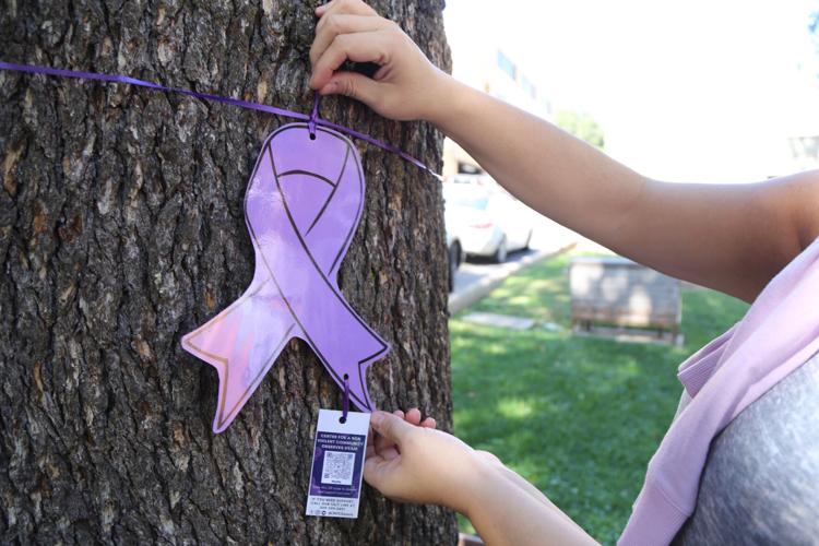 CNVC urges awareness of domestic violence in October | News ...