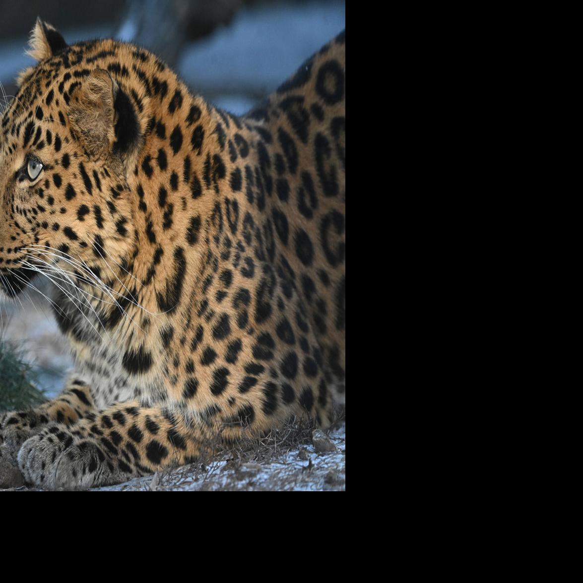 Classifieds | Jobs | uniondemocrat.com