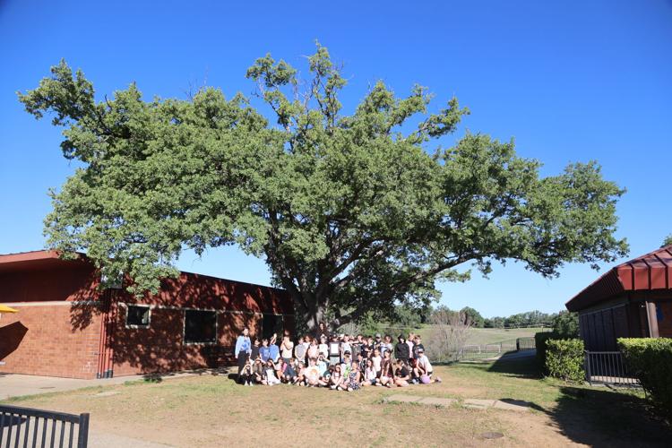 Sonora Elementary students celebrate Arbor Day with Tuolumne County ...