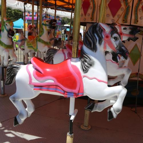 The weird and the wonderful abound at 2023 Mother Lode Fair | News ...