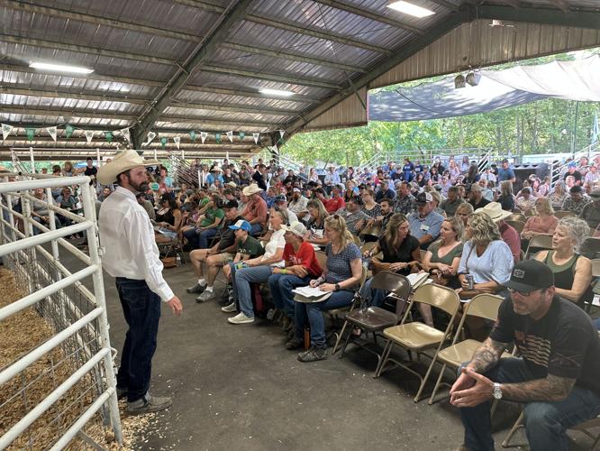 Thousands flock to Mother Lode Fair; livestock auction sees 2nd-highest ...