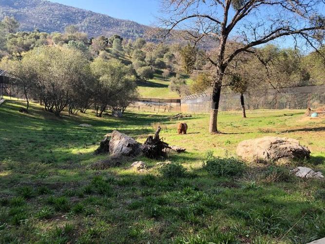 TV icon and animal advocate Bob Barker remembered for support of ...