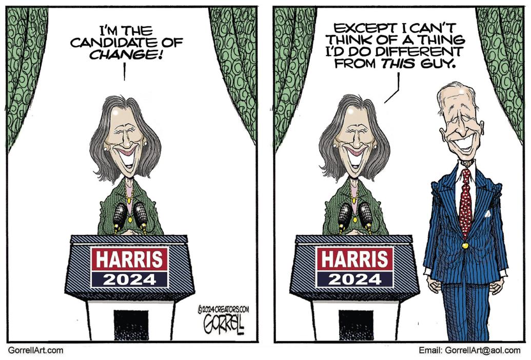 Editorial Cartoon: Bob Gorrell | Cartoons | unionleader.com