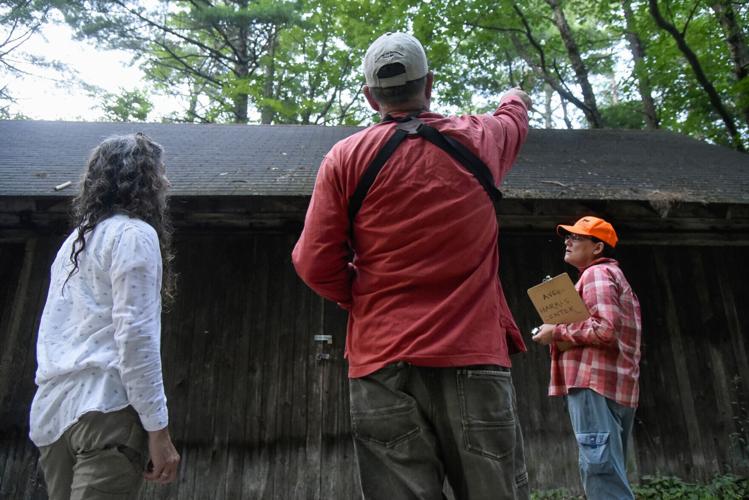 Making bats count in New Hampshire | Animals | unionleader.com