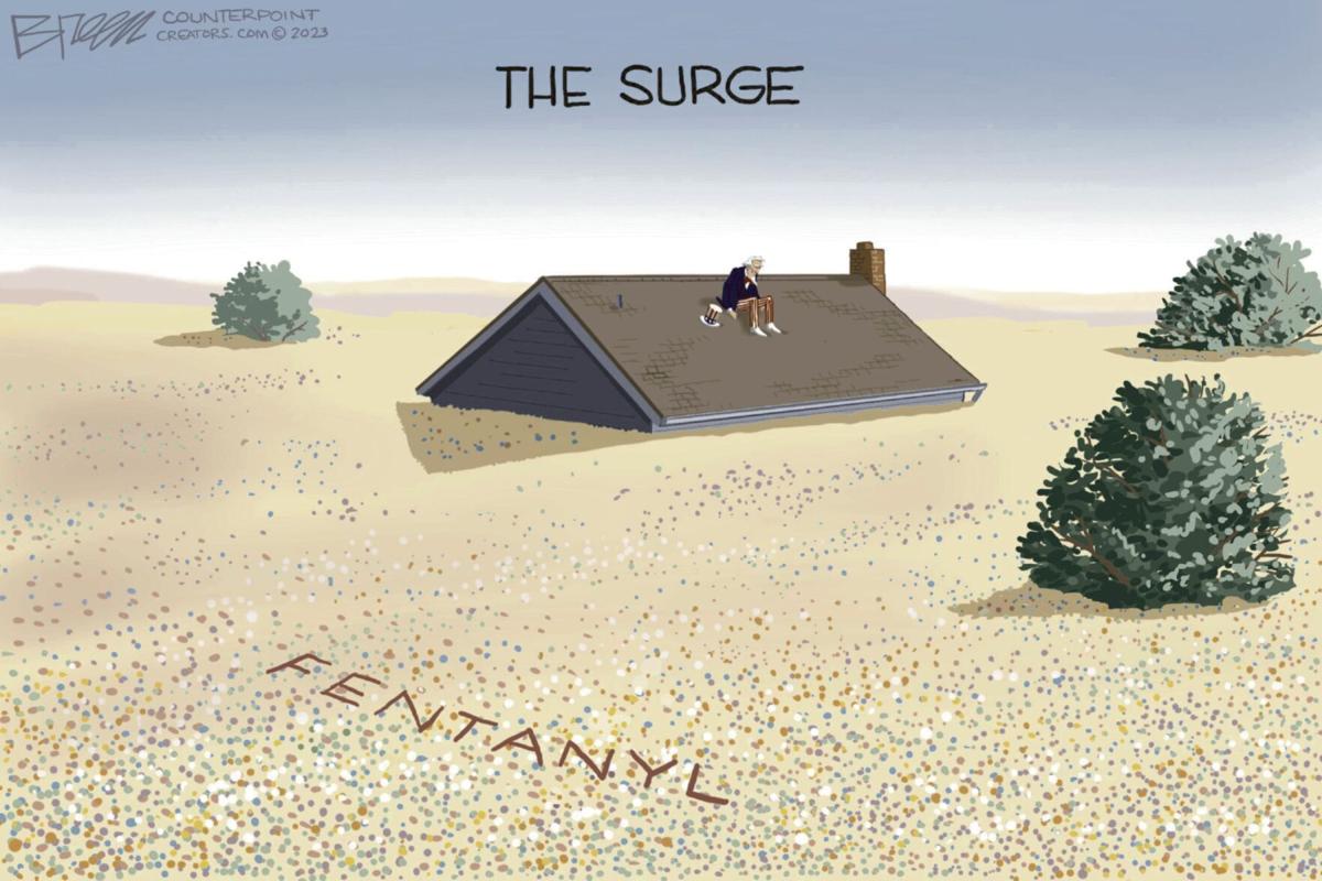 Editorial Cartoon: Steve Breen | Cartoons | unionleader.com