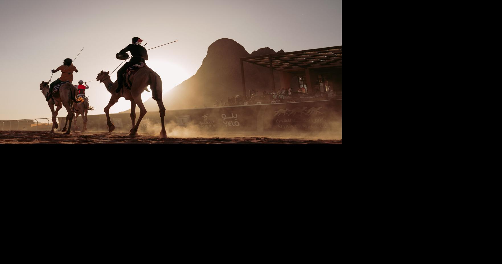 Rapper Swizz Beatz eyes $21 million haul with Saudi camel racing team ...