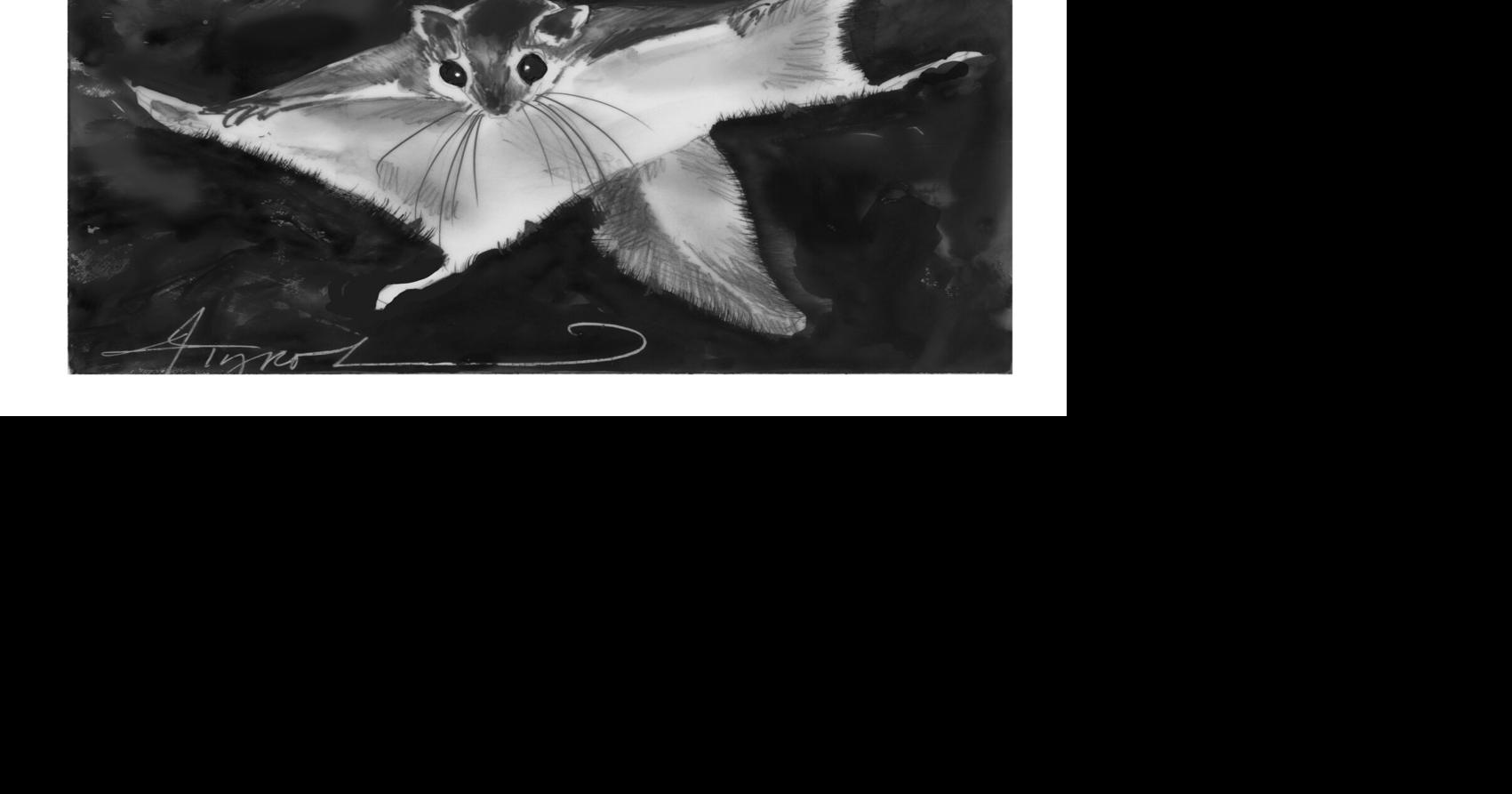 The Outside Story: When North meets South - flying squirrel hybrids ...