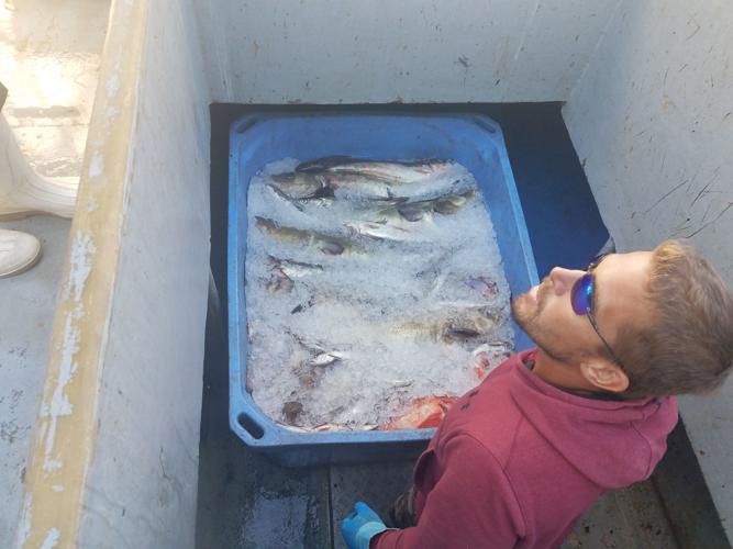 Seacoast fishermen start their 7th season of reaching out to foodies ...