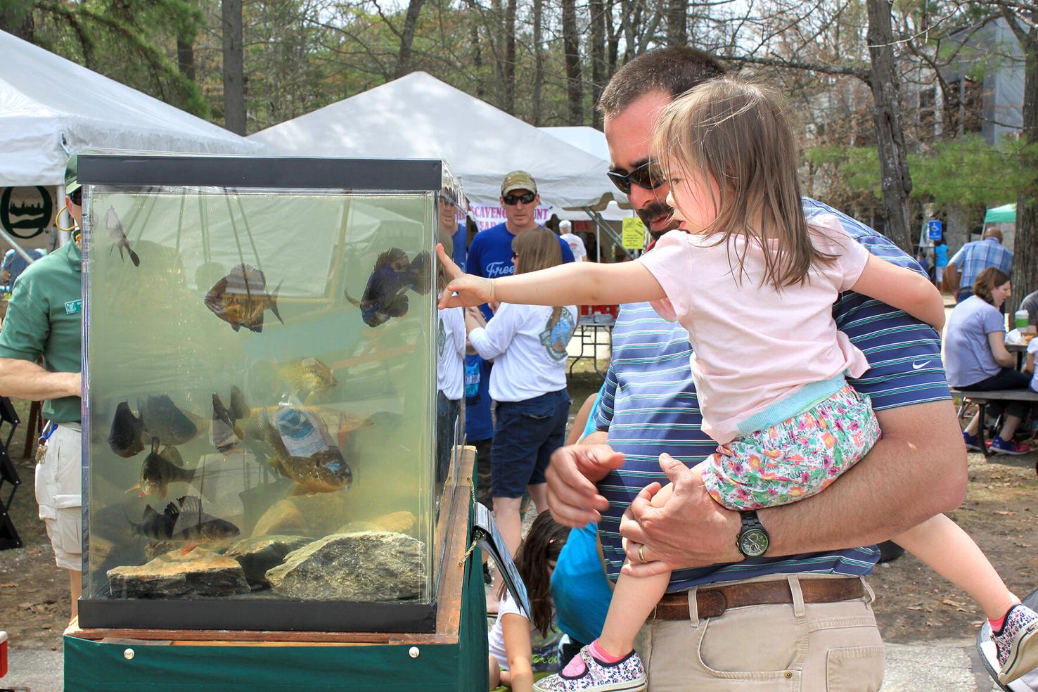 Embrace the outdoors: Discover WILD NH Day returns to Concord | A&E ...