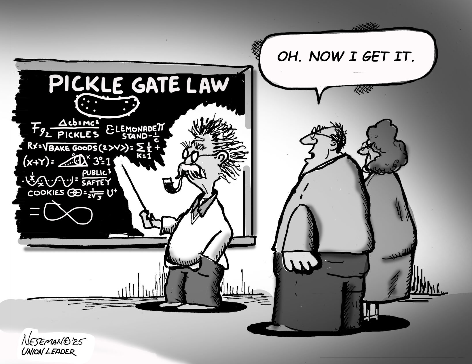 Editorial Cartoon: Dale Neseman | Cartoons | unionleader.com