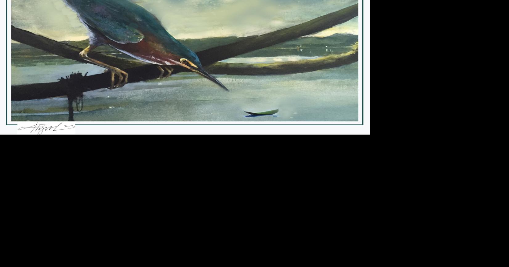 The Outside Story: Not so bird-brained: Avian tool use | The Outside ...