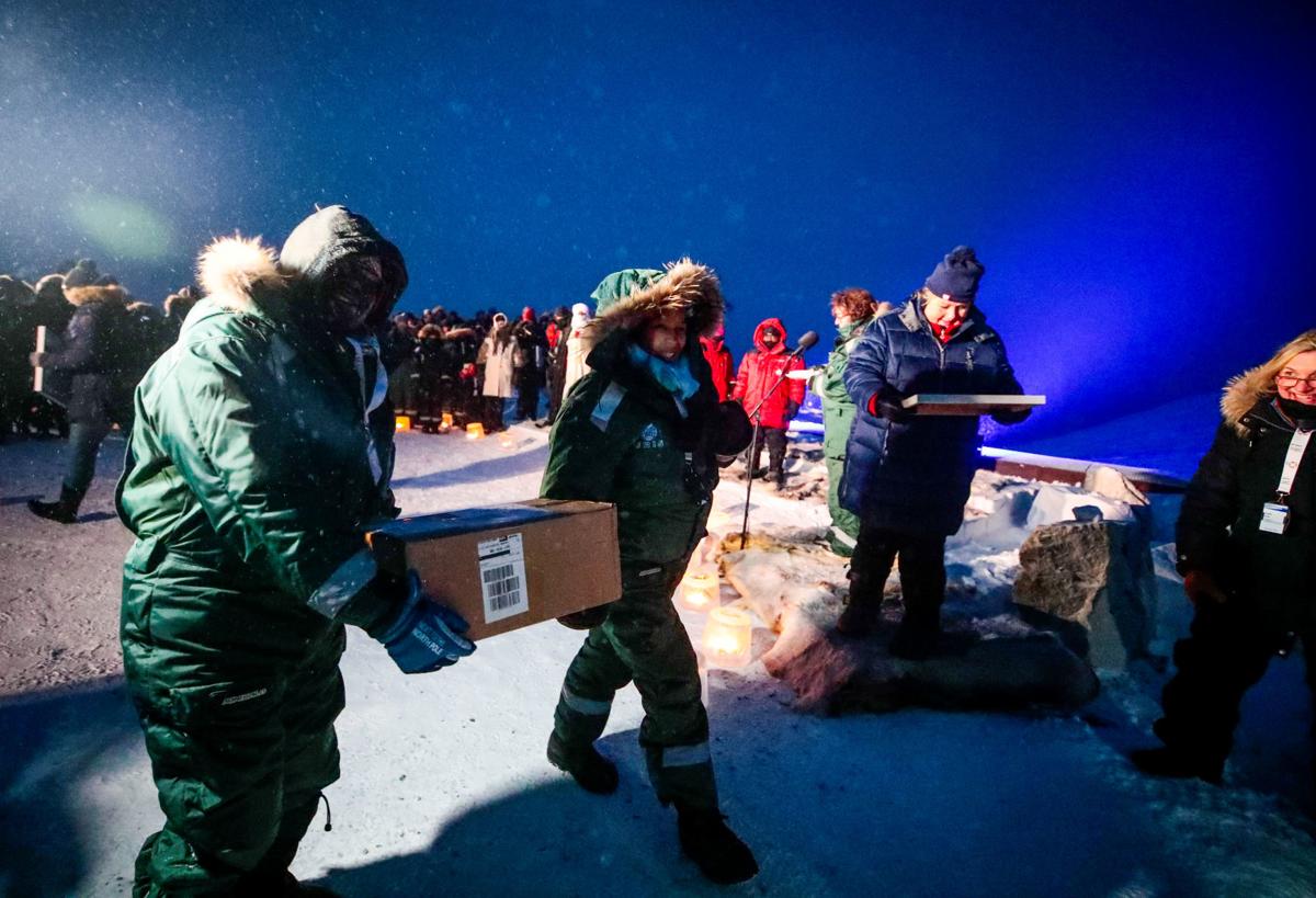 Arctic 'doomsday' food vault welcomes millionth seed variety | Back ...