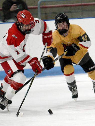 NH sports briefs: HS hockey tourney begins | High School Sports / Youth ...