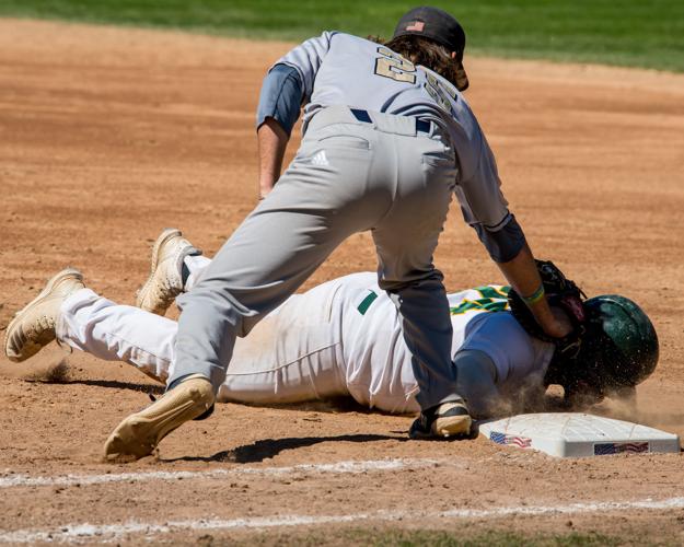 NCAA Baseball: SNHU advances to D-II Super Regional with win over LIU ...