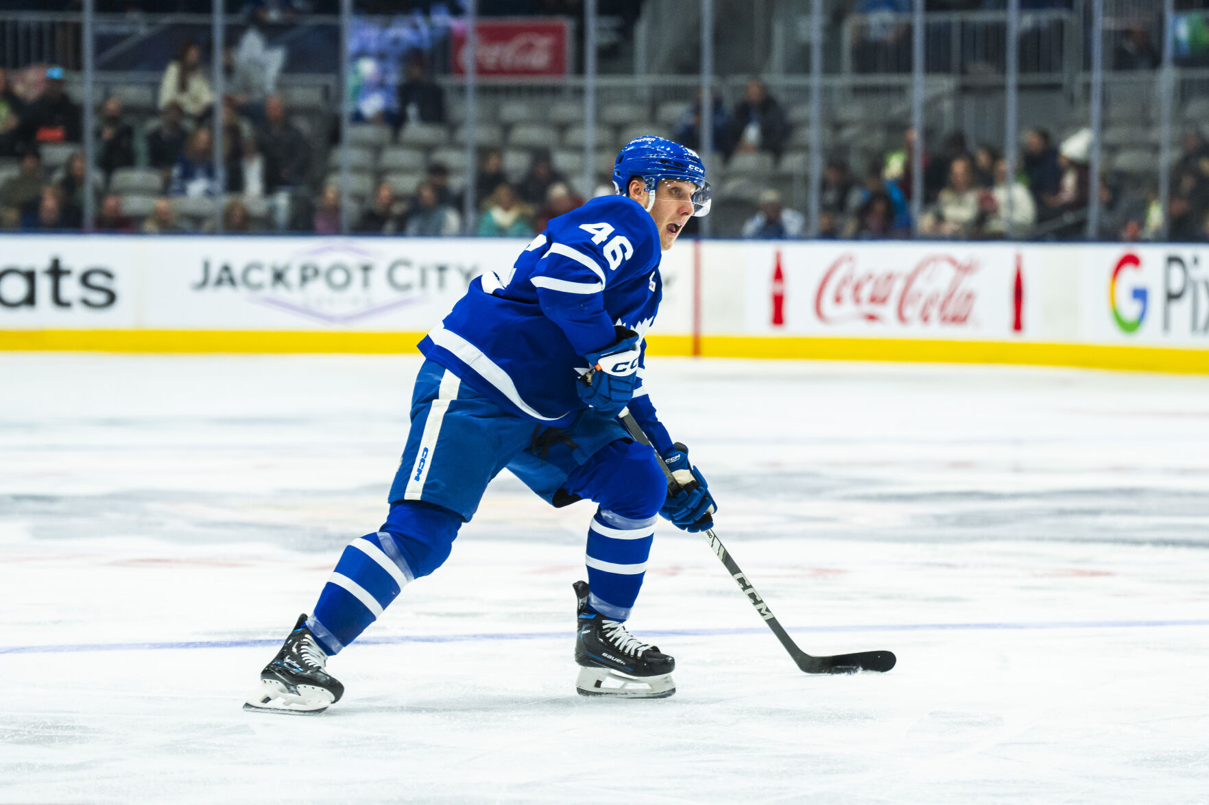 Opportunity knocking with Bruins, and Bedford's Alex Steeves hoping for ...