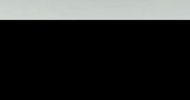 Video: Live dangling mouse a scream at Newton Town Hall, followed by a ...