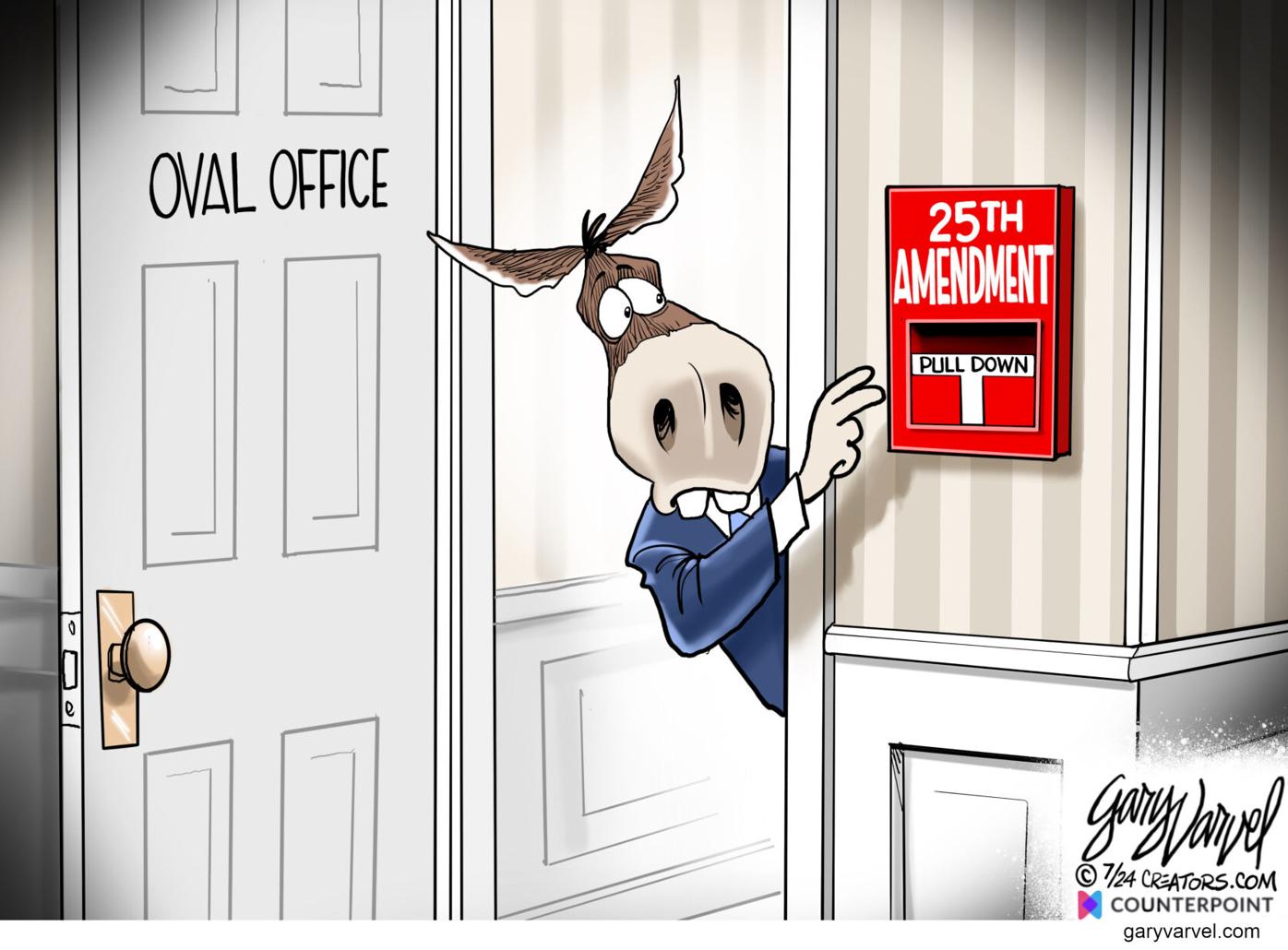 25th amendment cartoon