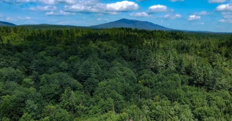 Pearly Lake Wildlife Management Area expands with NH Fish & Game land ...