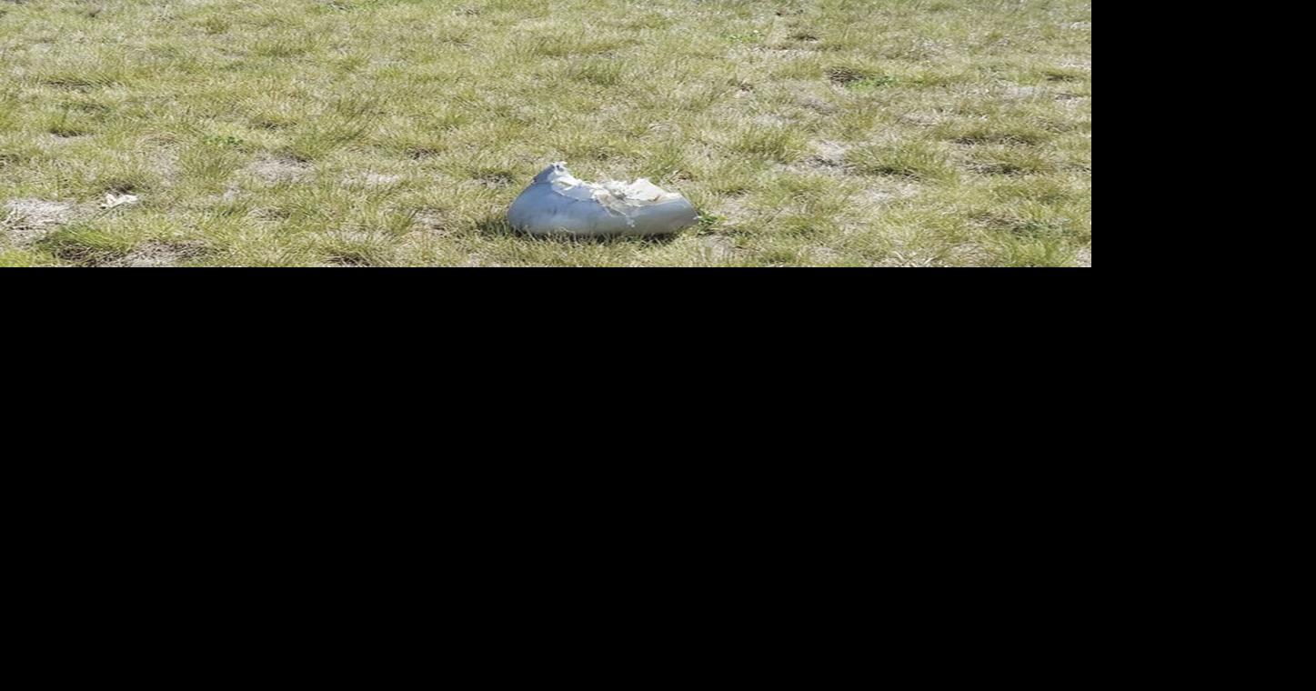 Plane runs into, kills deer on the runway | Public Safety | unionleader.com