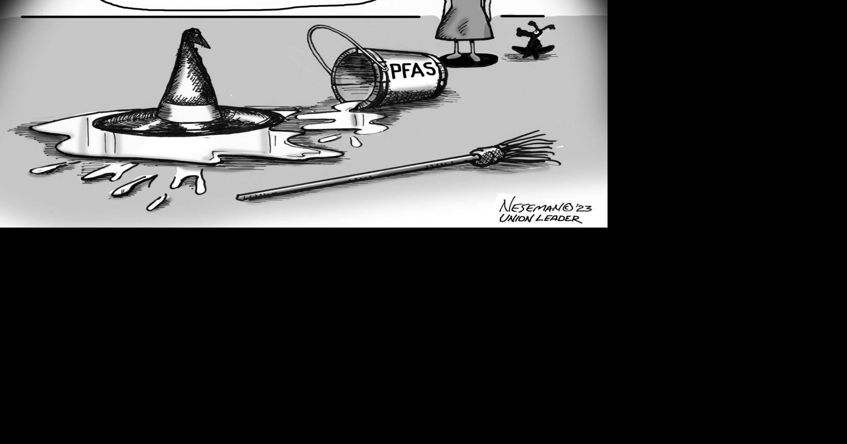 Editorial Cartoon: Dale Neseman | Cartoons | unionleader.com