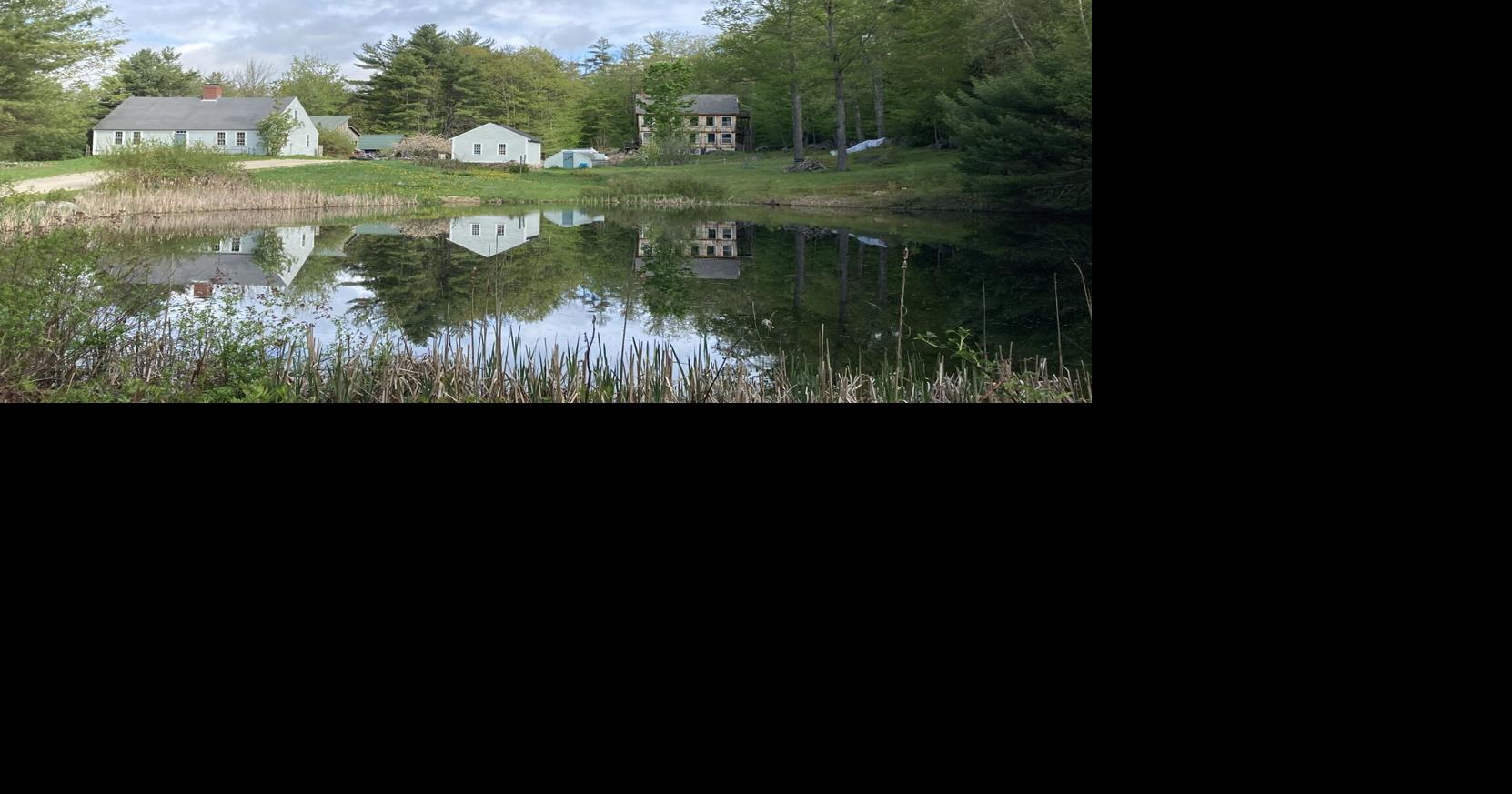 NH Outside: Bethel Farm offers a place to chill and decompress | NH ...