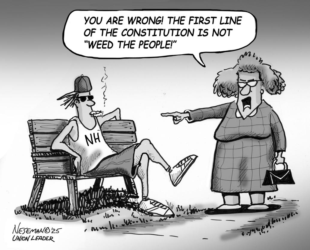 Editorial Cartoon: Dale Neseman | Cartoons | unionleader.com