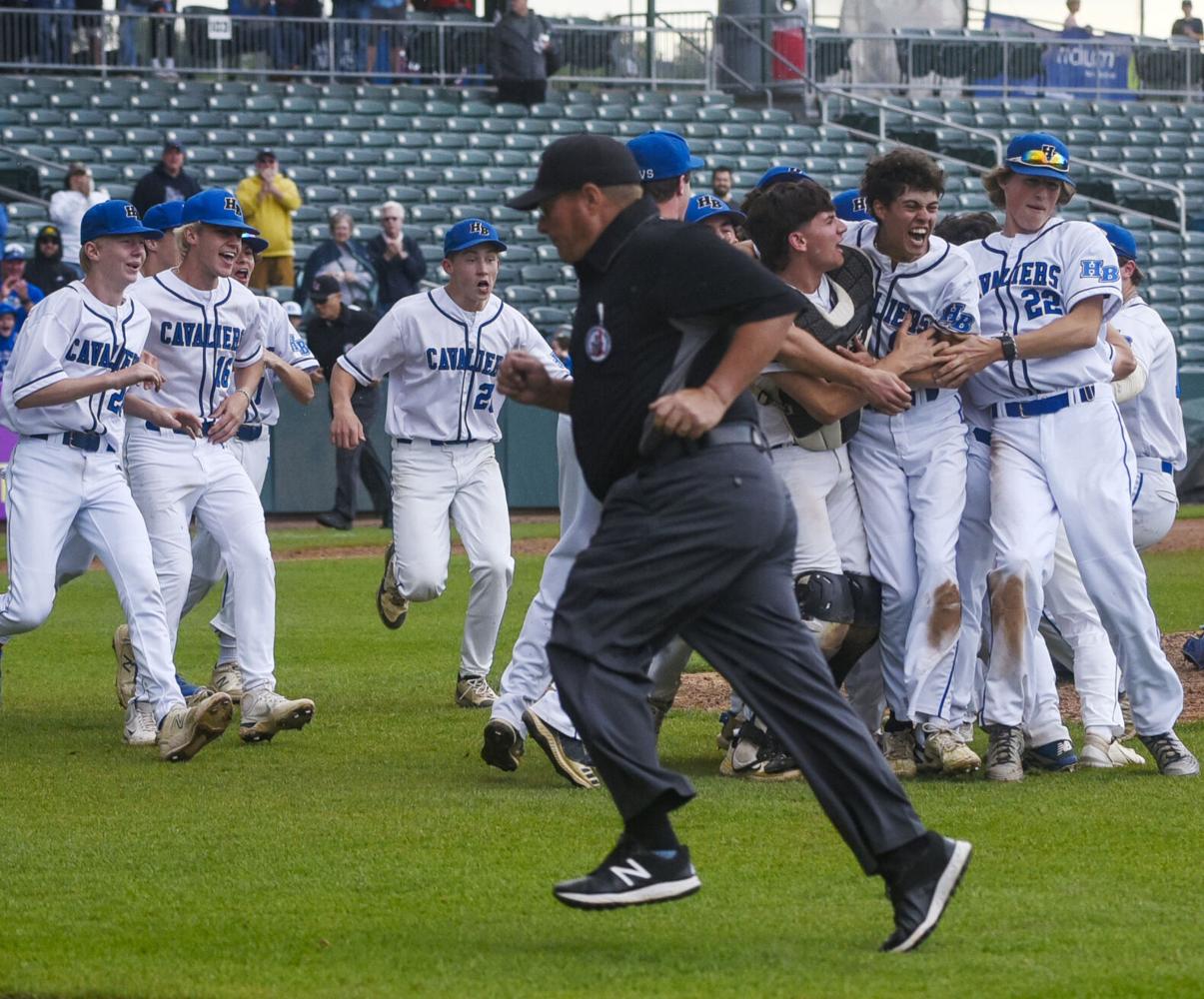 Division II baseball championship: Hale storm as pitcher's three-hitter ...