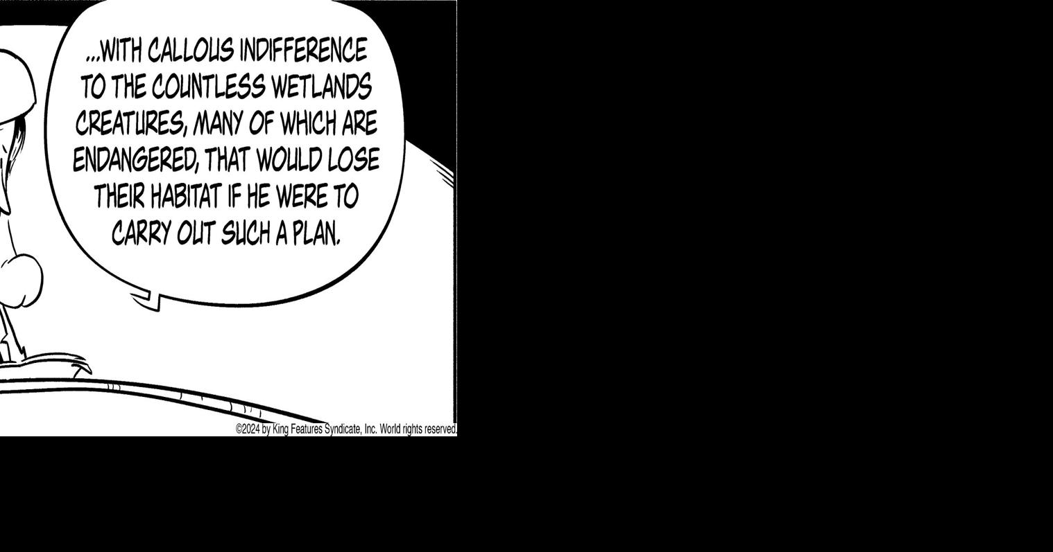 Editorial Cartoon: Mallard Fillmore | Cartoons | unionleader.com